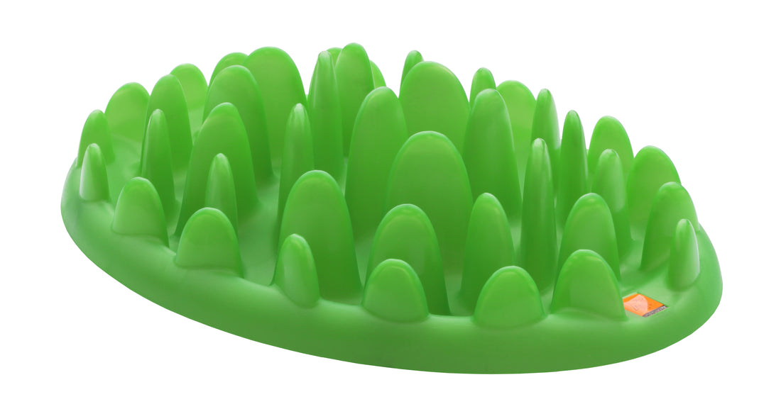 GREEN Slow Feeder – Cinnamon Trust